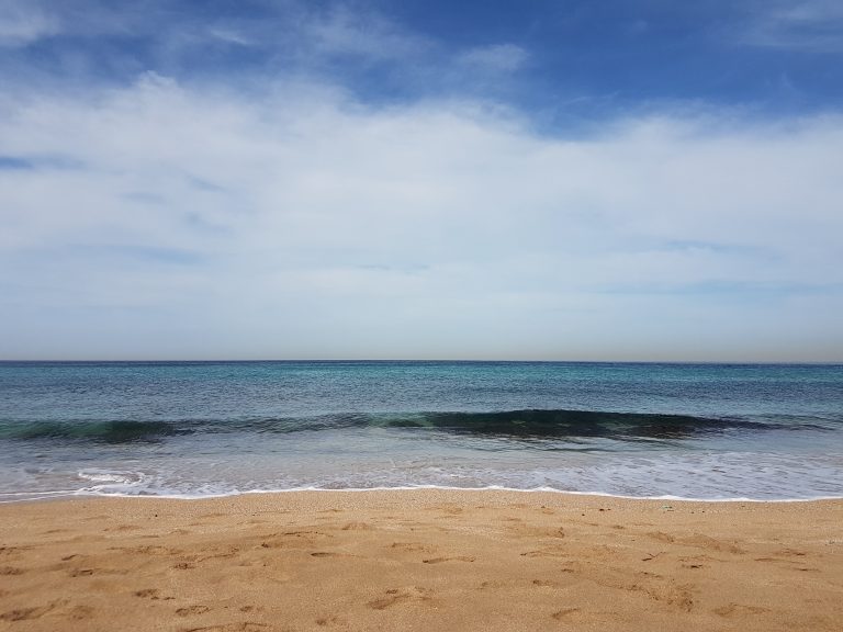 25 שאלות על הים | צלול – עמותה להגנת הים החופים והנחלים